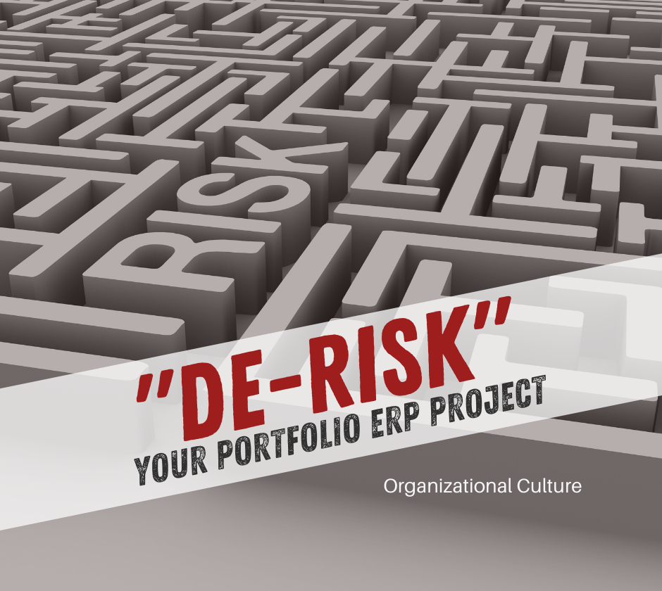 ERP Organizational Culture Risk Management Insights for Success